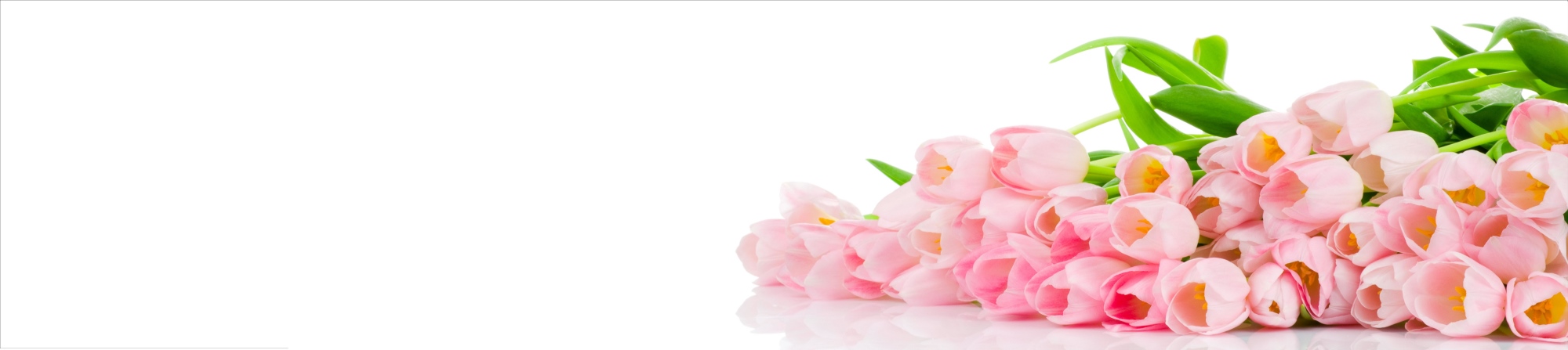 Image selection and price online calculation - Mprint.ee