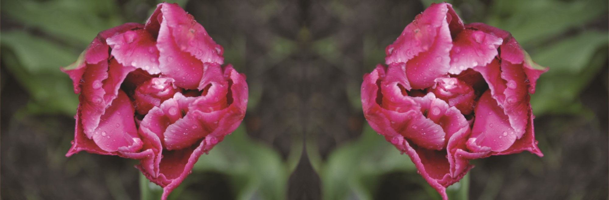 Image selection and price online calculation - Mprint.ee